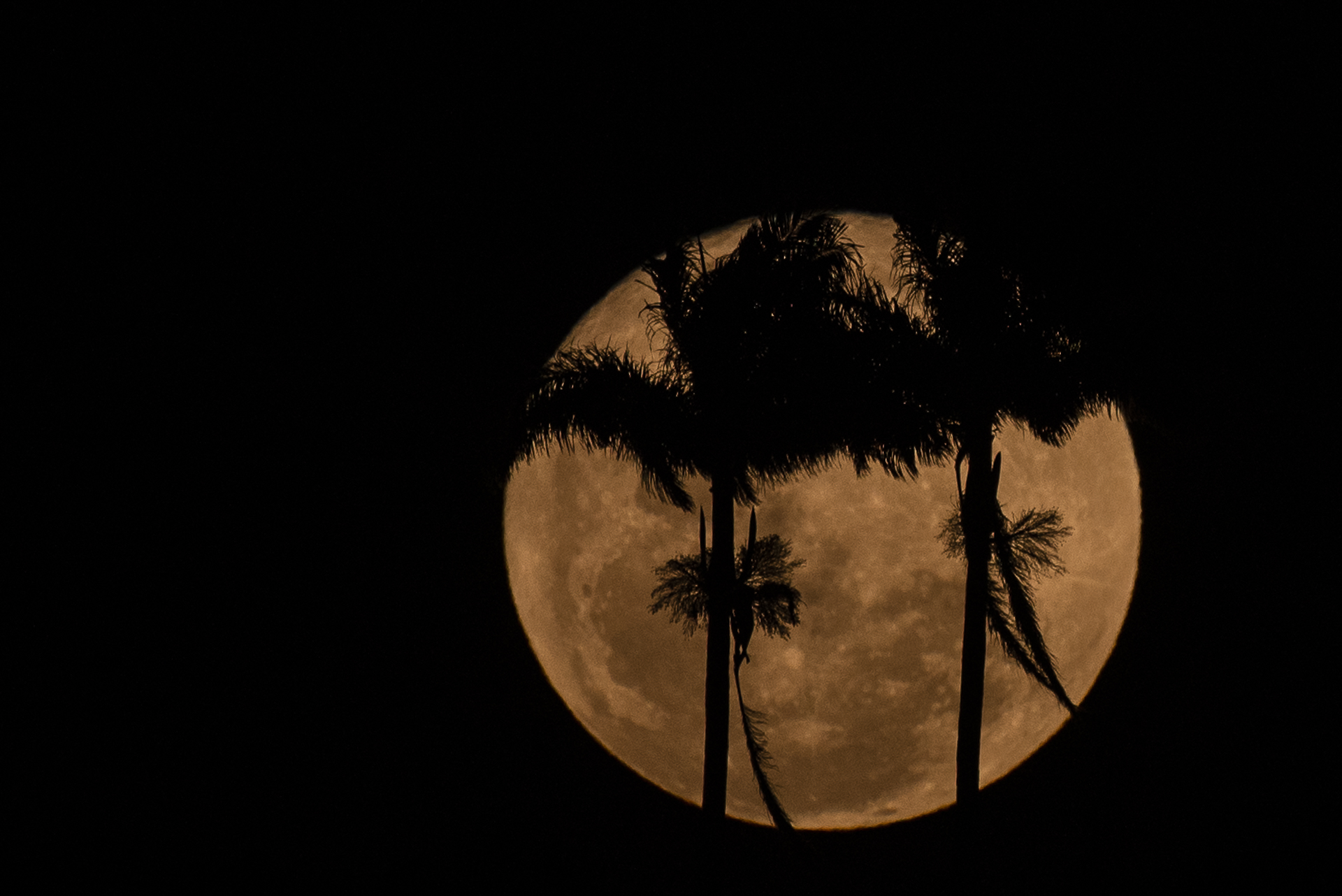 Fotojornalismo: brilho da lua cheia chama a atenção e encanta no ES | A ...