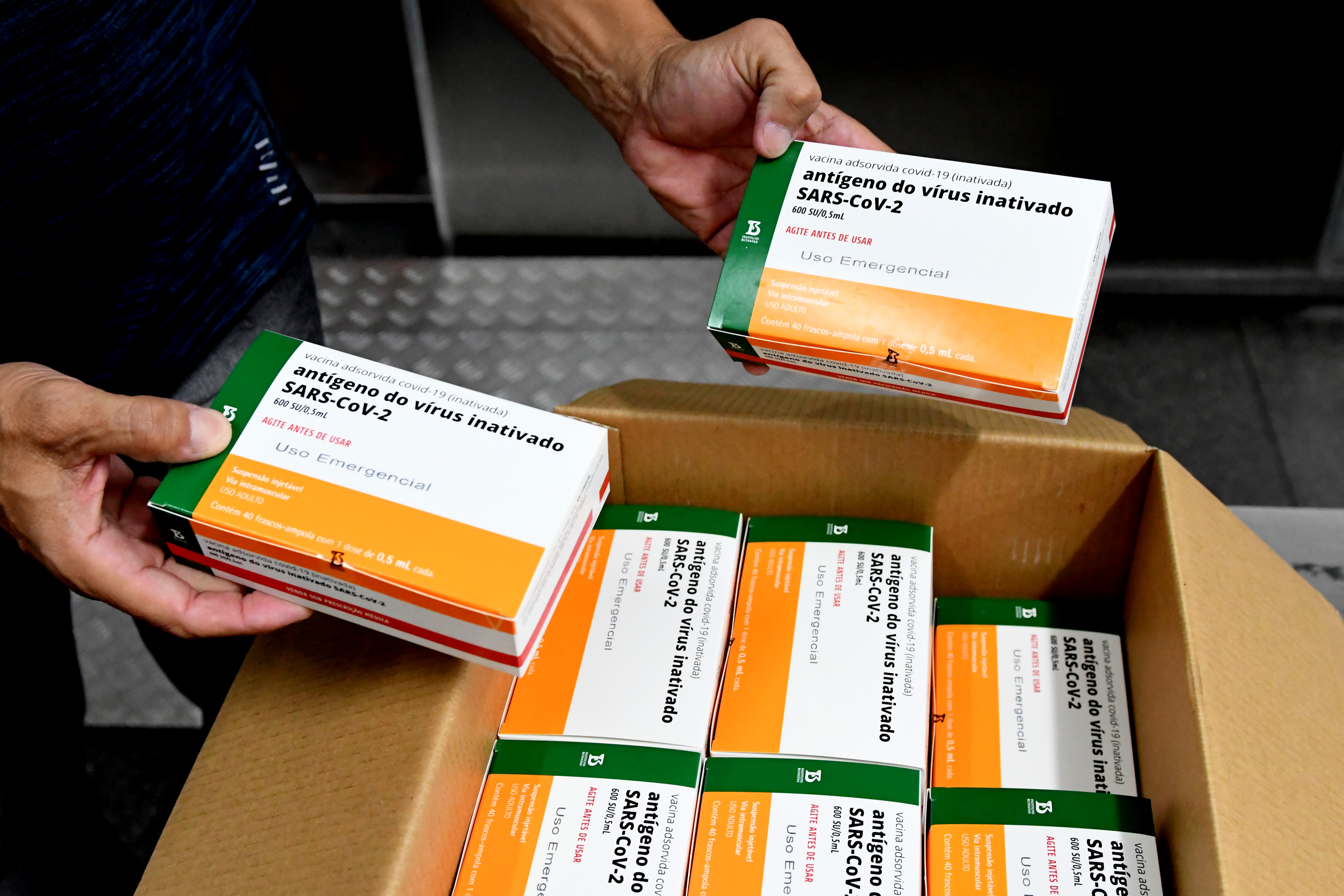 "Não virei jacaré", brinca primeira pessoa vacinada contra a Covid-19 ...