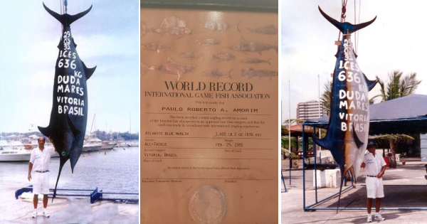 Capixaba ostenta o recorde de maior marlim azul já pescado no mundo | A ...