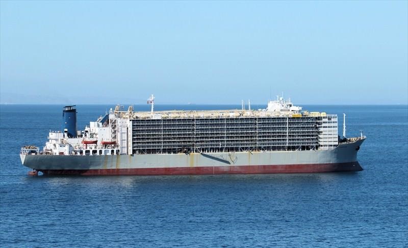 Navio com gado ou esgoto? Entenda o mau cheiro em Vila Velha | A Gazeta