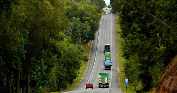 Vídeos revelam riscos da BR 101 no ES mesmo em períodos sem chuvas | A ...
