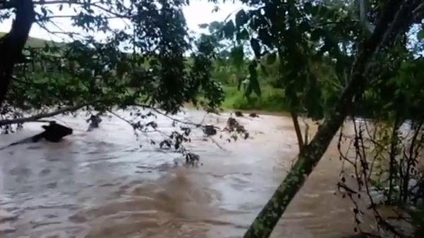 Gado é arrastado pela correnteza durante enchente em Itapemirim | A Gazeta