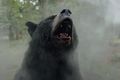 Baseado em história real, O Urso do Pó Branco é diversão absurda | A Gazeta