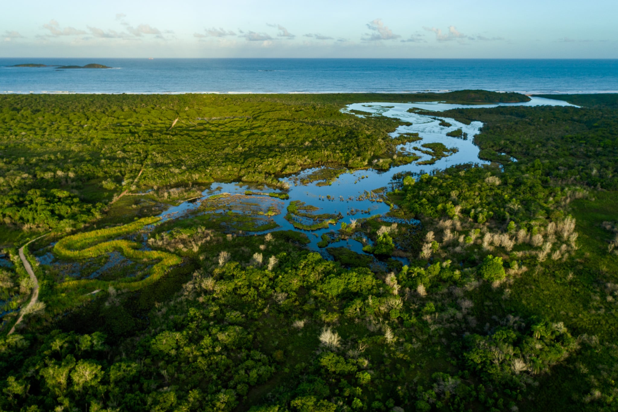Parque Paulo César Vinha resiste e mostra todo o seu potencial ...