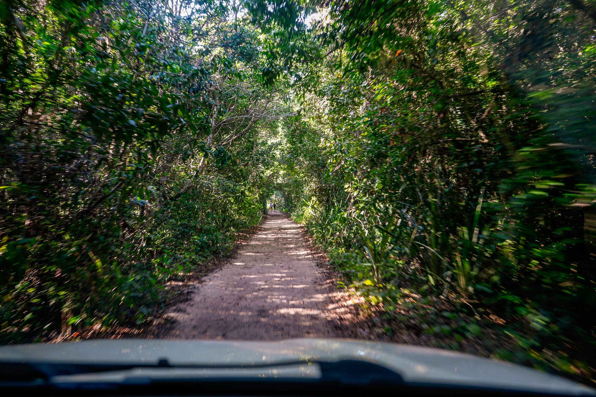Parque Paulo César Vinha resiste e mostra todo o seu potencial ...