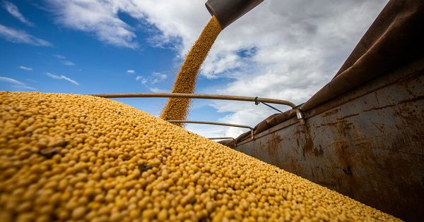PIB do primeiro trimestre: salvos pelo Agro (de novo!) | A Gazeta