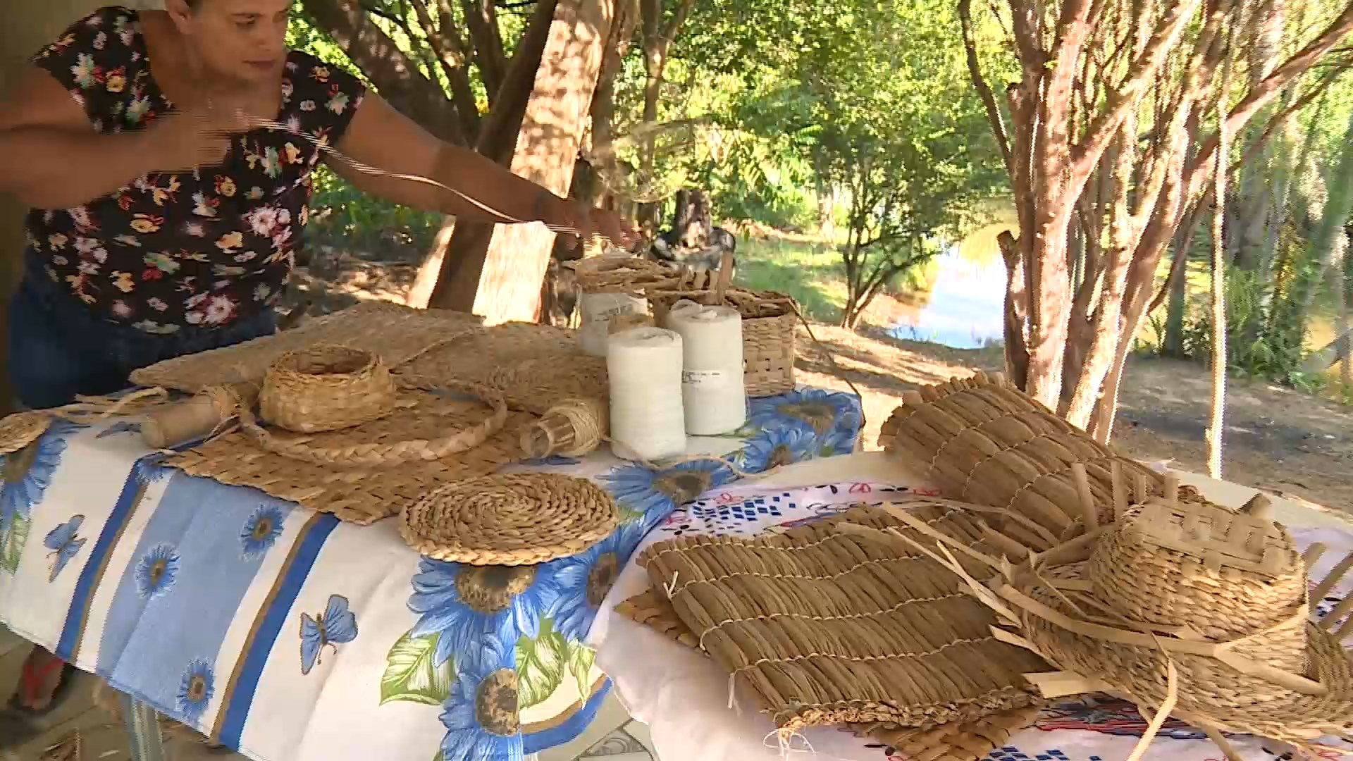 Artesanato com taboa atravessa gerações e sustenta famílias no ES | A ...