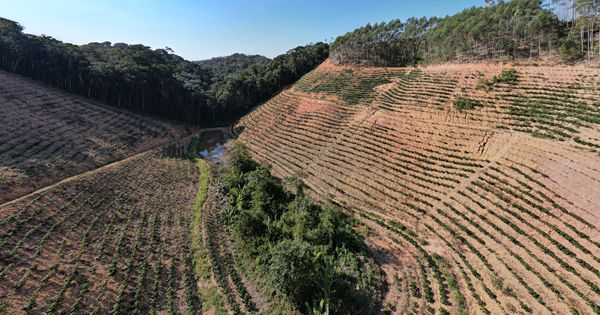 Operação identifica 39 áreas de desmatamento na Região Serrana do ES ...
