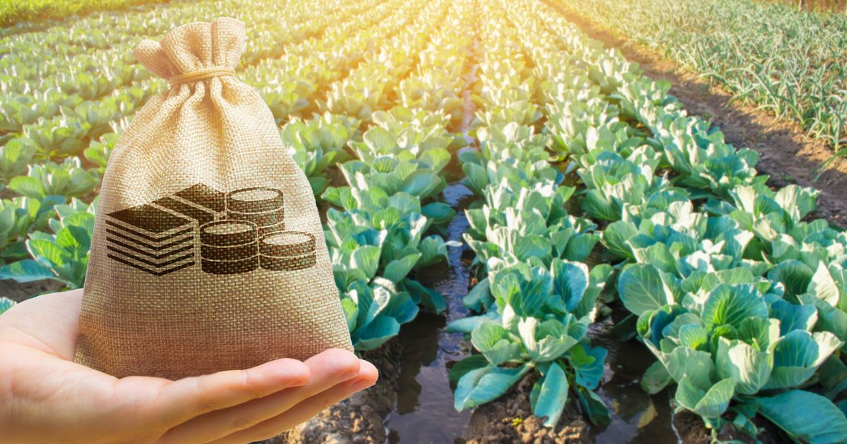 Como usar produção de commodities do Brasil em uma economia mais ...