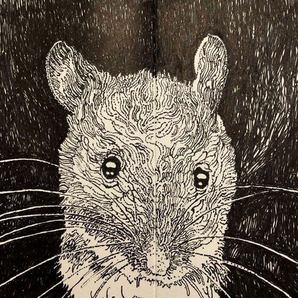 Por que desenhar é o melhor detox digital | A Gazeta