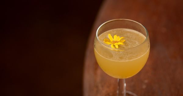 Bares sugerem receitas para comemorar o Dia Mundial do Coquetel | HZ