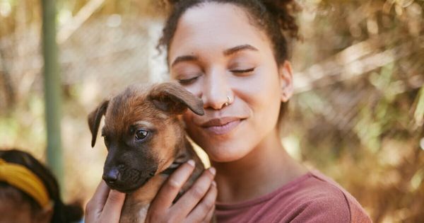 7 dicas para escolher entre gato e cachorro para adoção | HZ