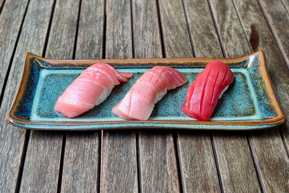 Conheça o atum bluefin, cobiçado peixe que é o mais caro do mundo | HZ