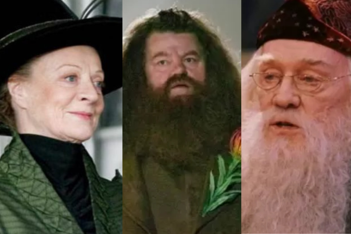 Minerva, Hagrid, Snape: quem do elenco de 'Harry Potter' já morreu? | HZ