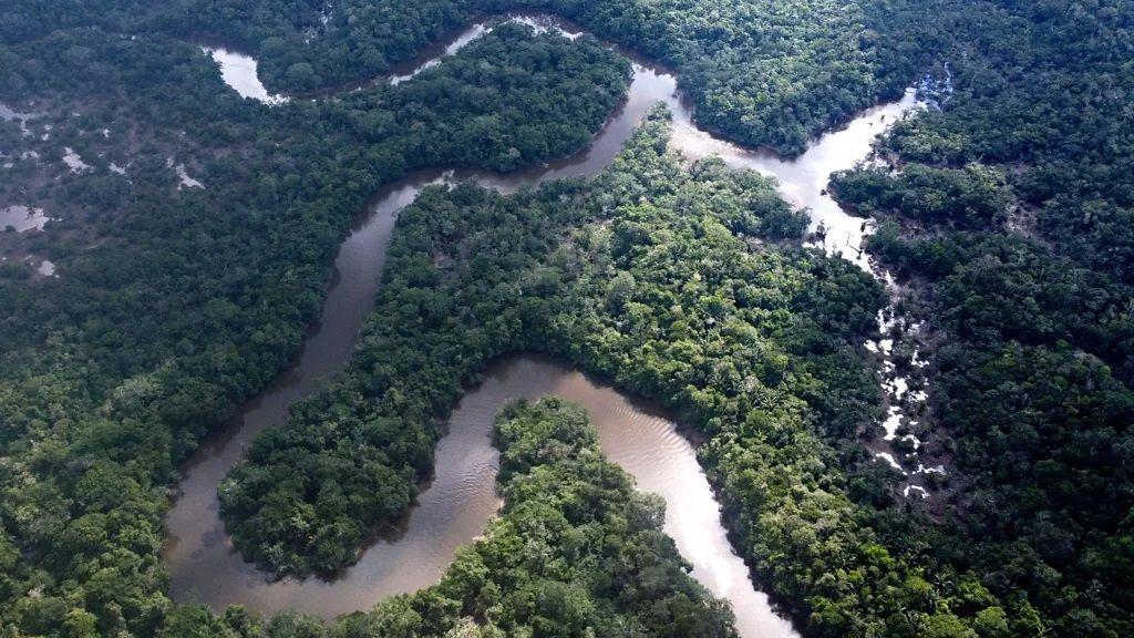 O que 'rio fervente' da Amazônia revela sobre aquecimento do planeta ...