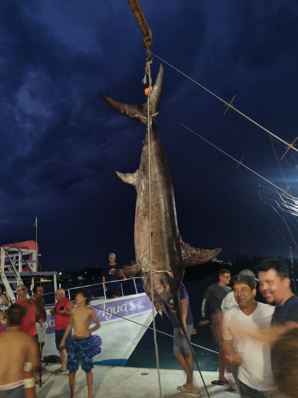 O dia em que um capixaba pescou o maior marlim-azul do mundo | A Gazeta