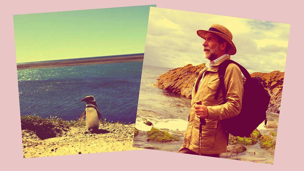 O pinguim que seguiu um professor em uma praia no Uruguai e foi viver com ele na Argentina | A ...