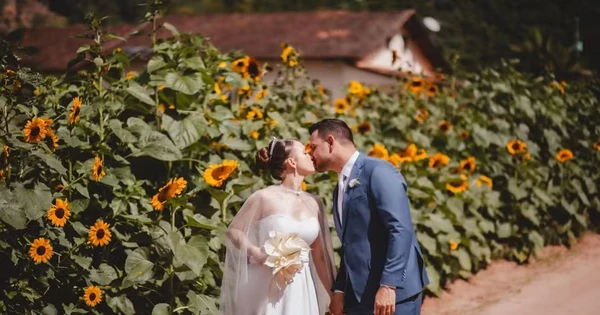 Casal do ES planta mais de mil girassóis para decorar próprio casamento ...